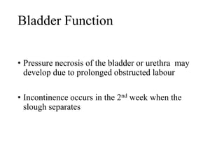 Puerperium and lactation | PPTX