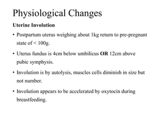 Puerperium and lactation | PPTX