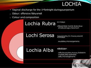 Puerperium | PPTX | Pregnancy | Reproductive Health