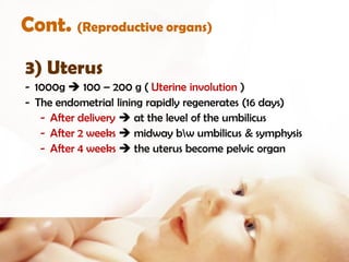 Puerperium normal & abnormal prof.salah roshdy | PDF