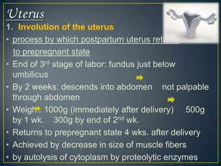 Puerperium(sreelakshmi) | PPTX
