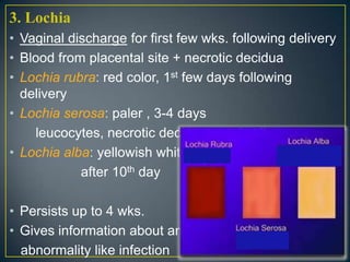 Puerperium(sreelakshmi) | PPTX