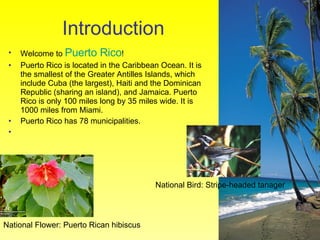 Puerto Rico | PPT