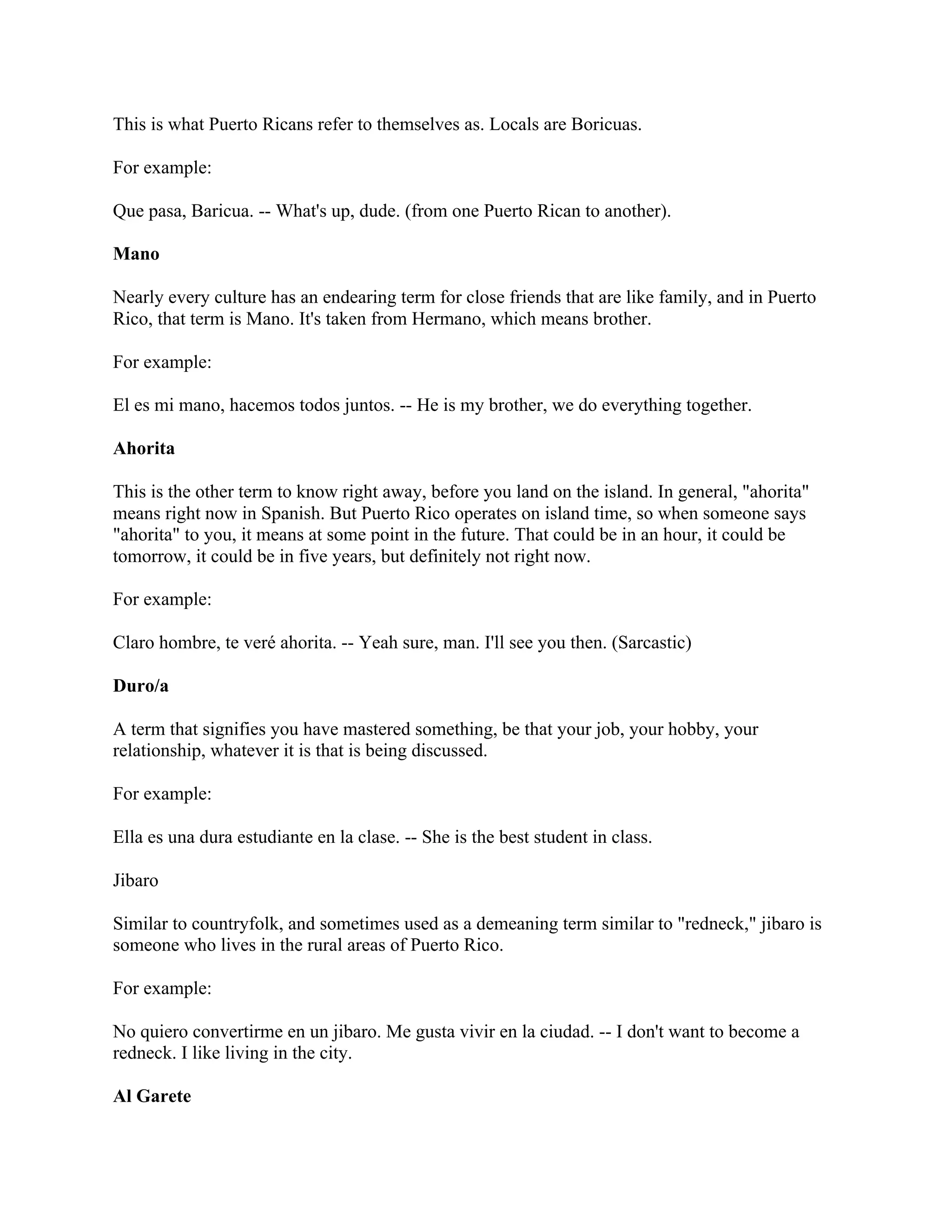 Puerto Rican Slang Terms | PDF