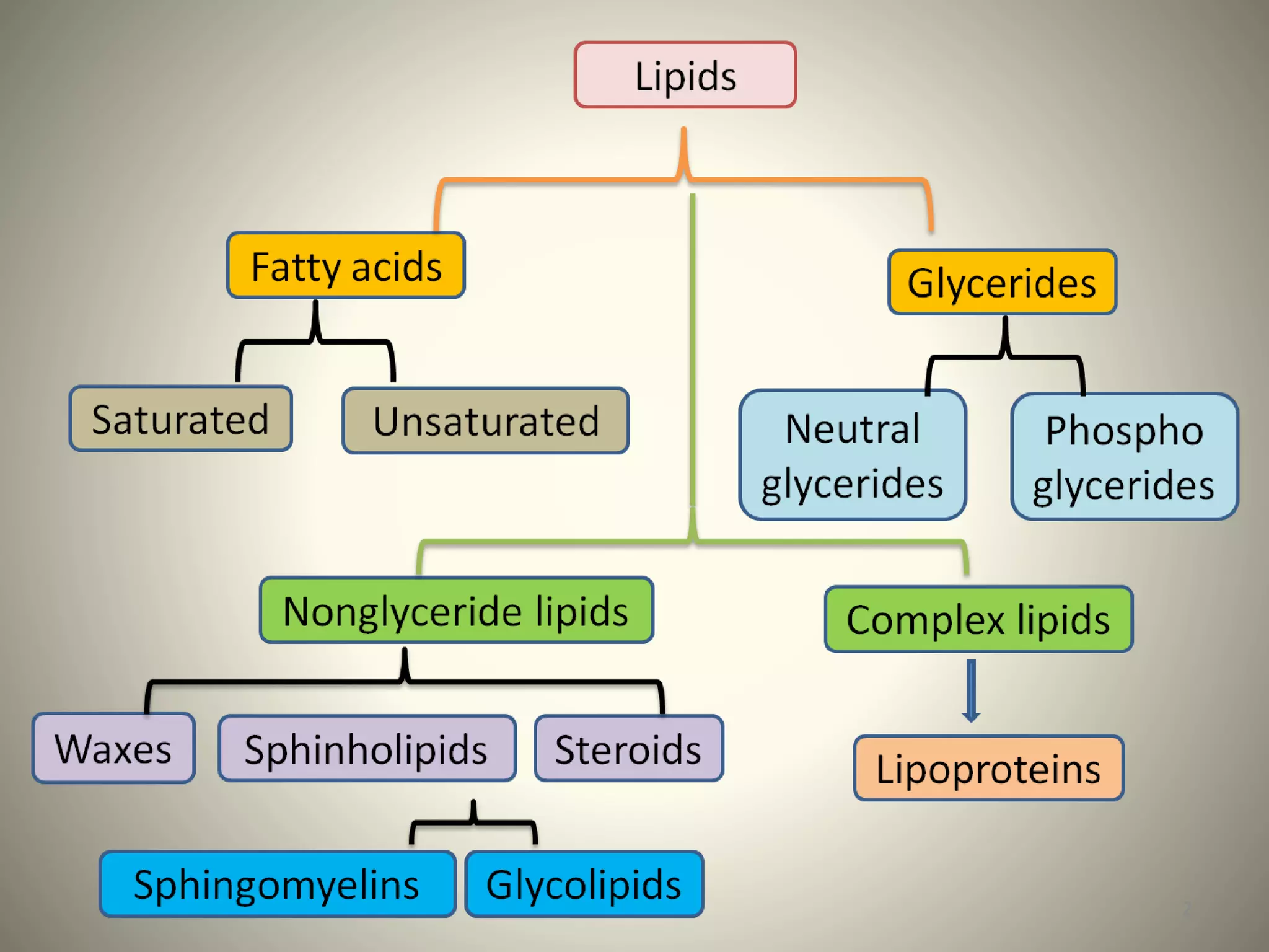 Poly Unsaturated Fatty Acid (PUFA) | PPTX
