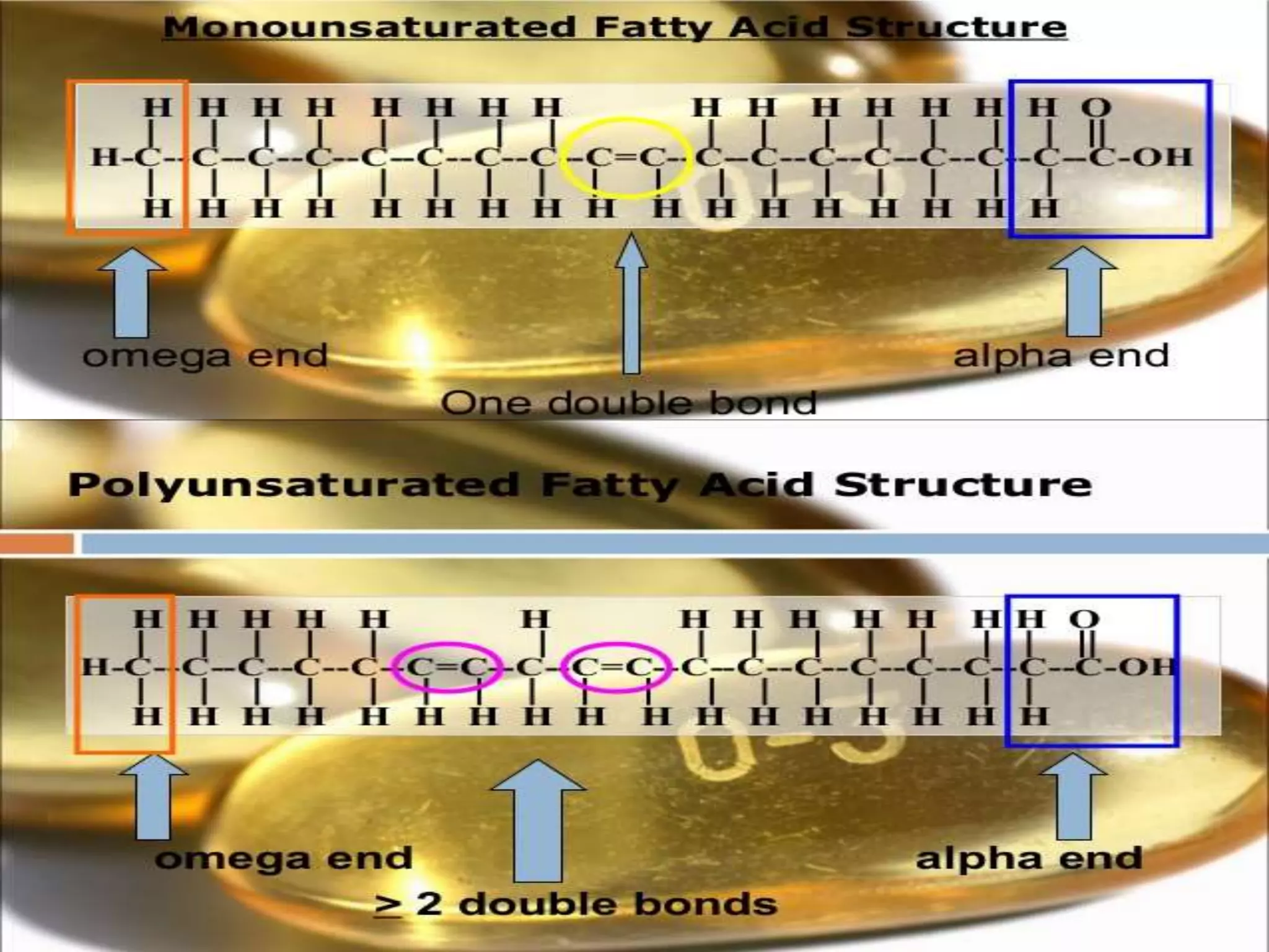 Poly Unsaturated Fatty Acid (PUFA) | PPTX