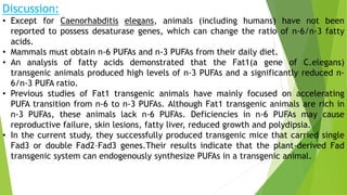 PUFA.pptx