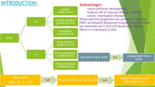 PUFA.pptx