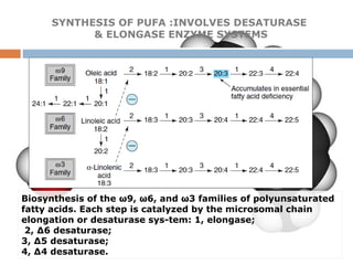 Pufa 2 ppt2 (6) | PPT