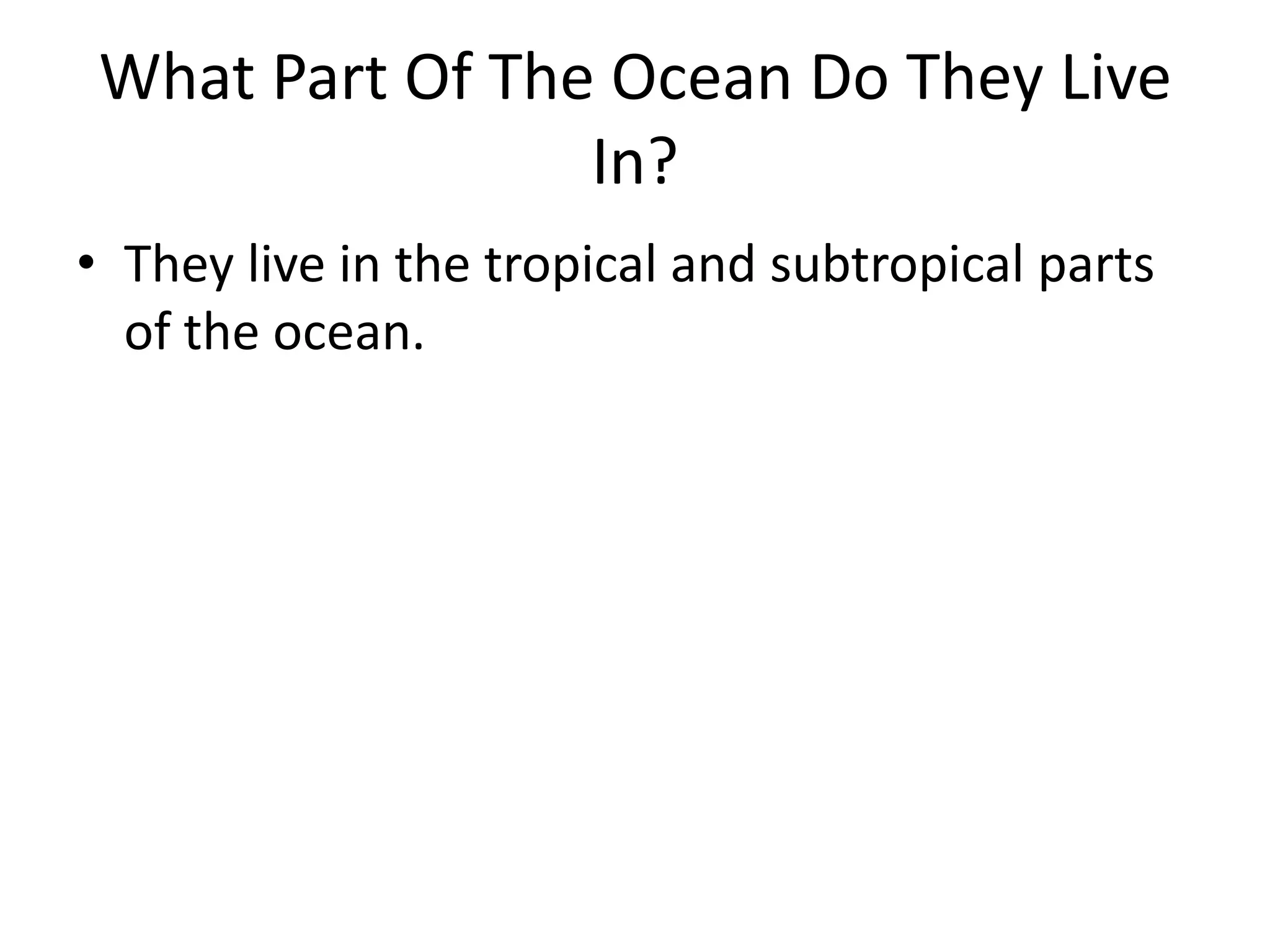 Puffer fish beep lexi and me | PPTX