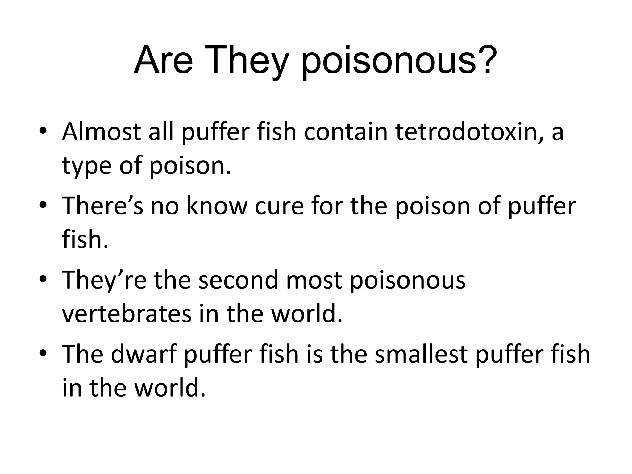 Puffer fish beep lexi and me | PPTX