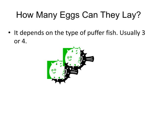 Puffer fish beep lexi and me | PPT