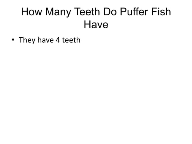 Puffer fish beep lexi and me | PPT