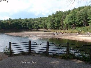 Puffers Pond Figs | PPTX