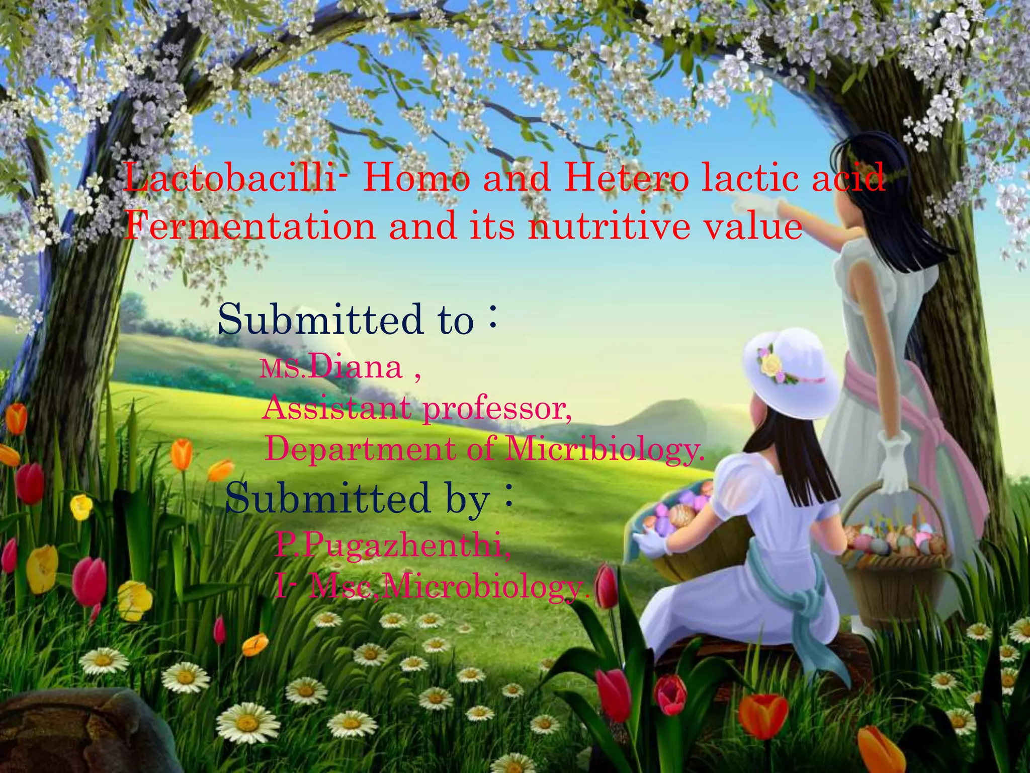 Lactobacilli- Homo and Hetero lactic acid Fermentation and its ...