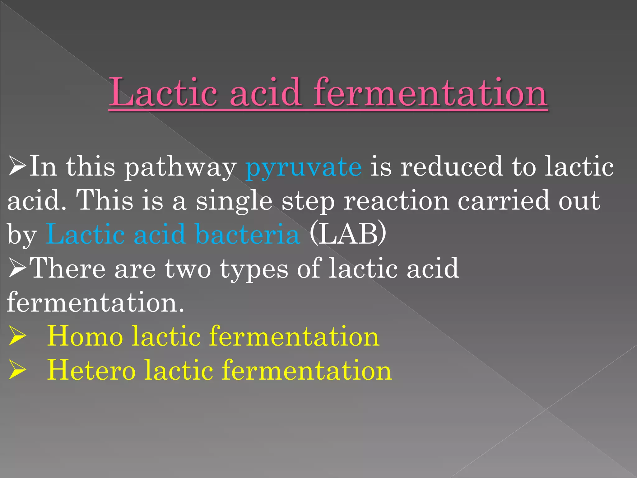 Lactobacilli- Homo and Hetero lactic acid Fermentation and its ...