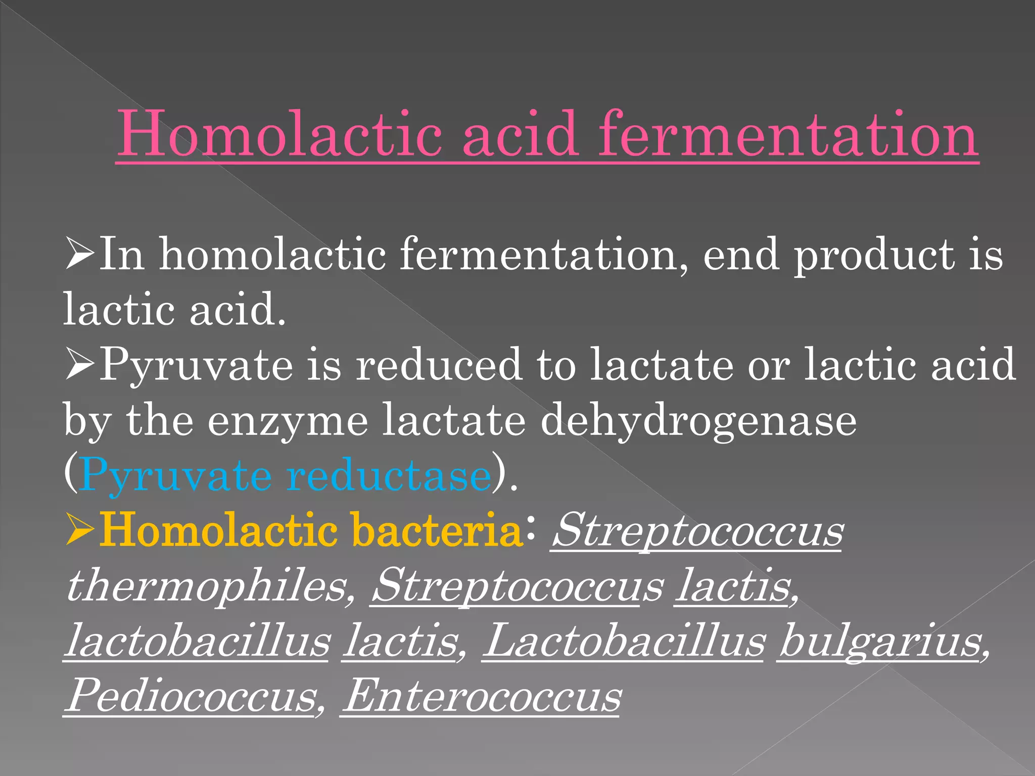 Lactobacilli- Homo and Hetero lactic acid Fermentation and its ...