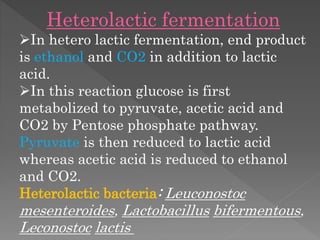 Lactobacilli- Homo and Hetero lactic acid Fermentation and its ...