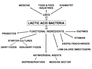 Lactobacilli- Homo and Hetero lactic acid Fermentation and its ...