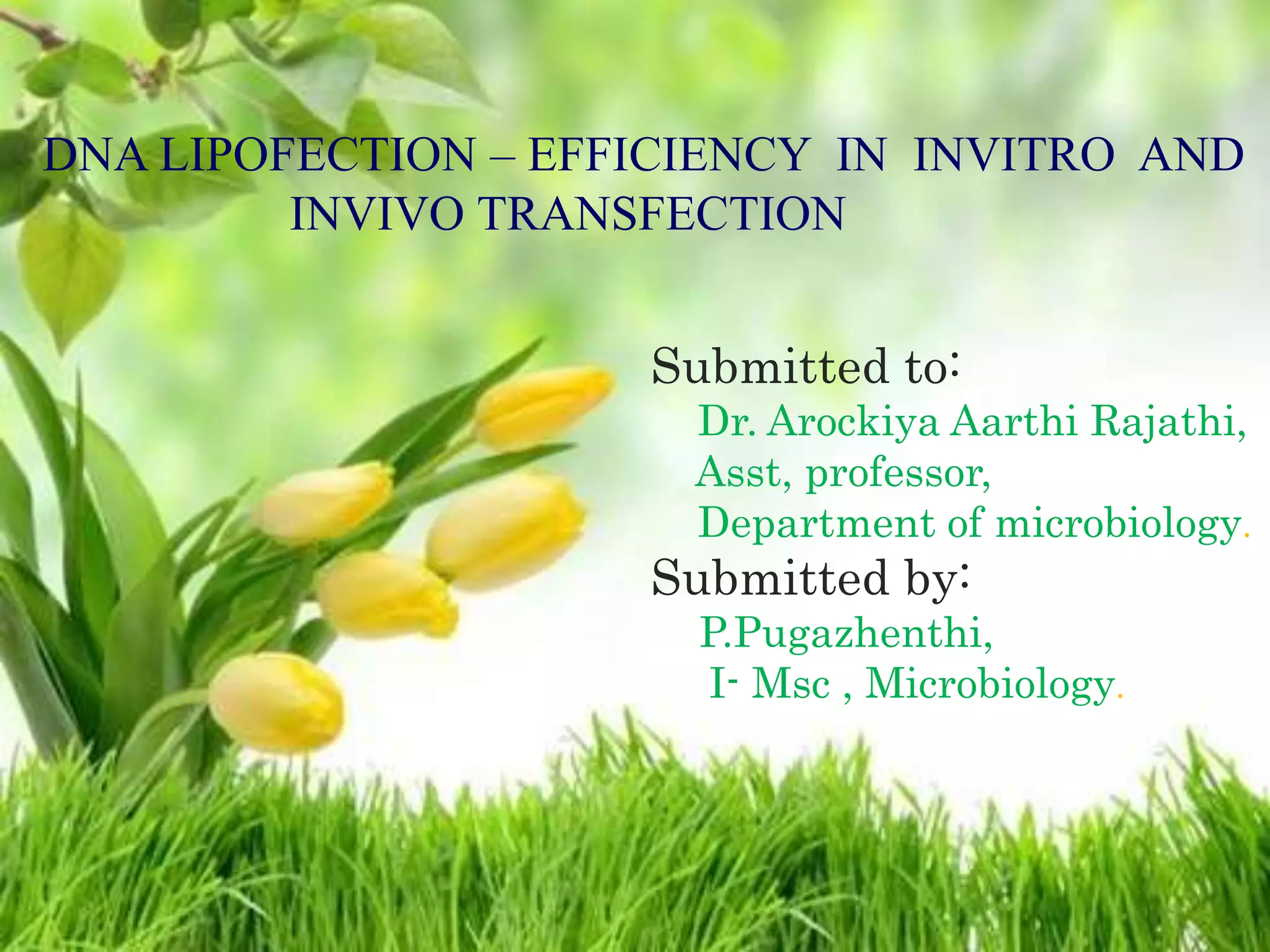 DNA lipofection - Efficiency in invitro and invivo transfection | PPT
