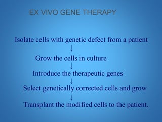 DNA lipofection - Efficiency in invitro and invivo transfection | PPT