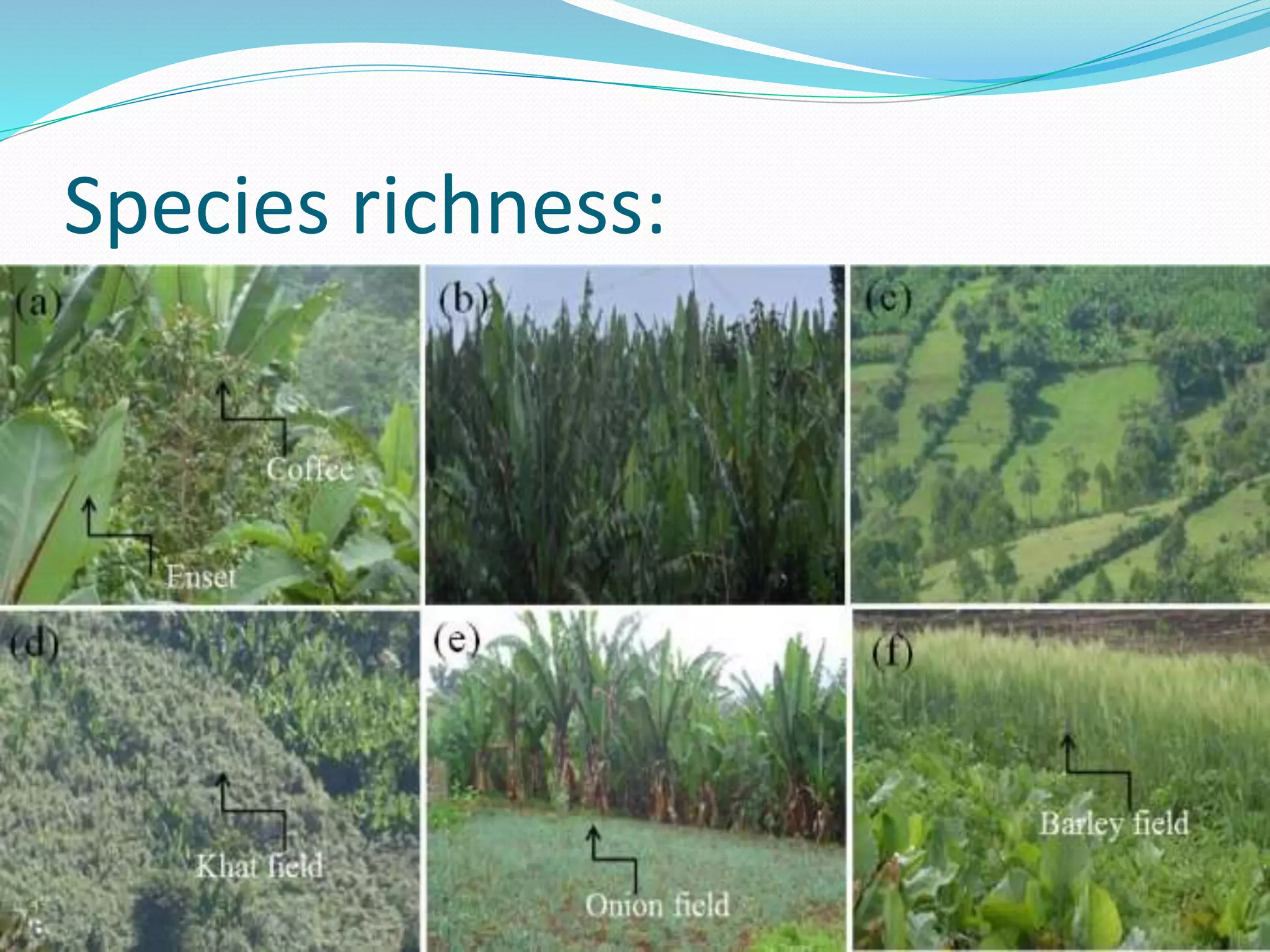 Agro biodiversity assessment and management | PPTX