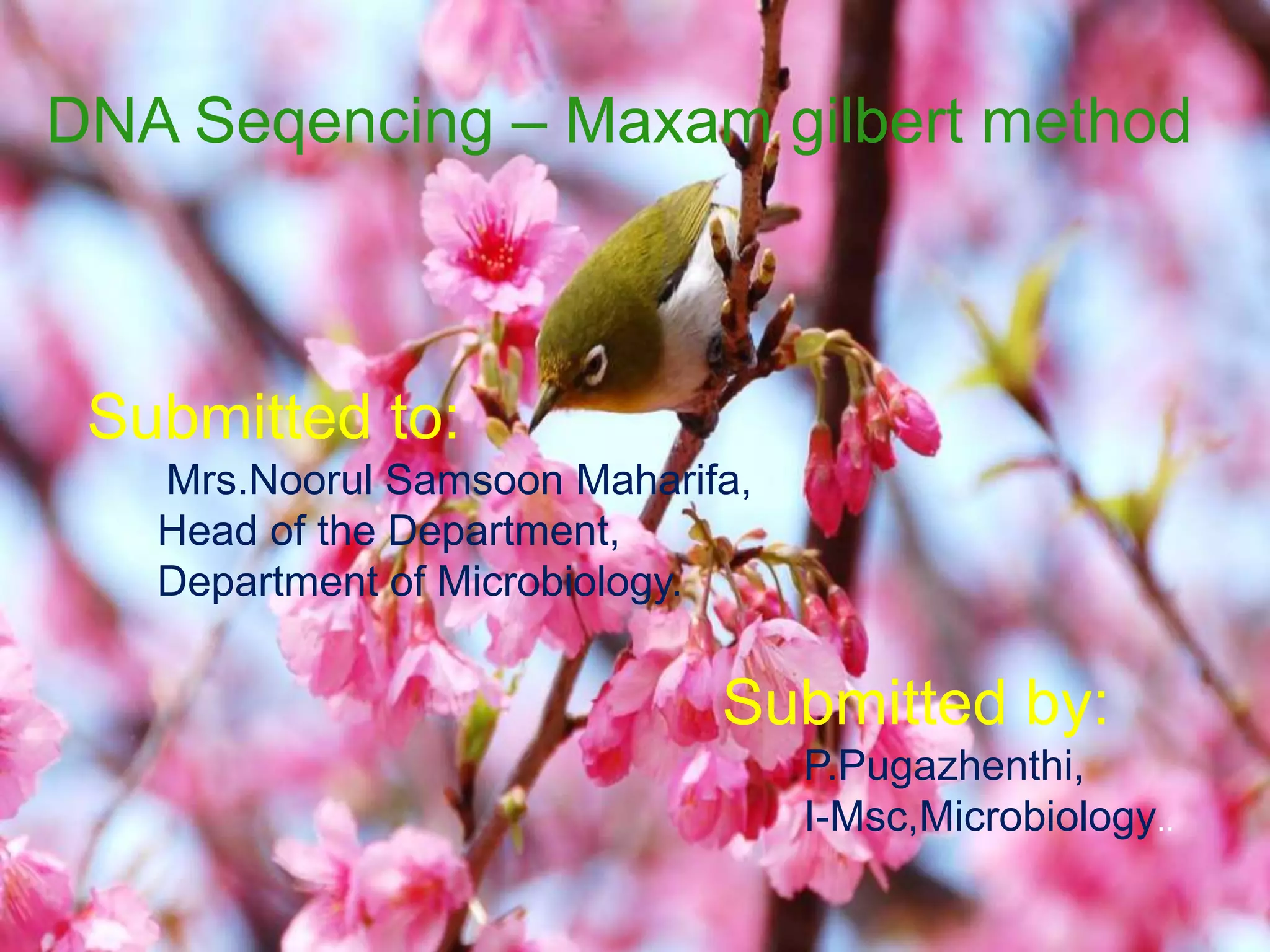 DNA sequencing - Maxam gilbert method | PPTX