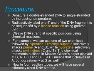 DNA sequencing - Maxam gilbert method | PPTX