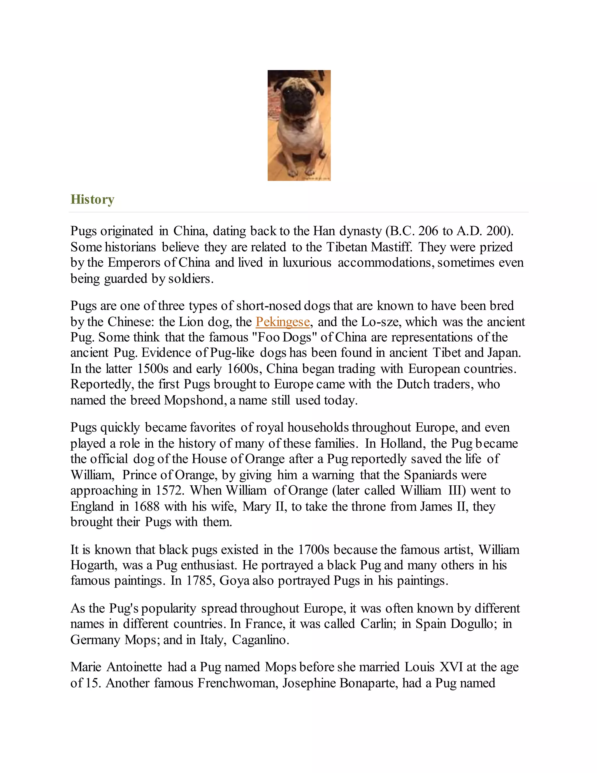 Pugs | PDF