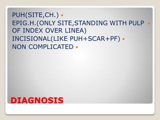 Puh | PPT