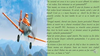 Puiul de avion | PDF
