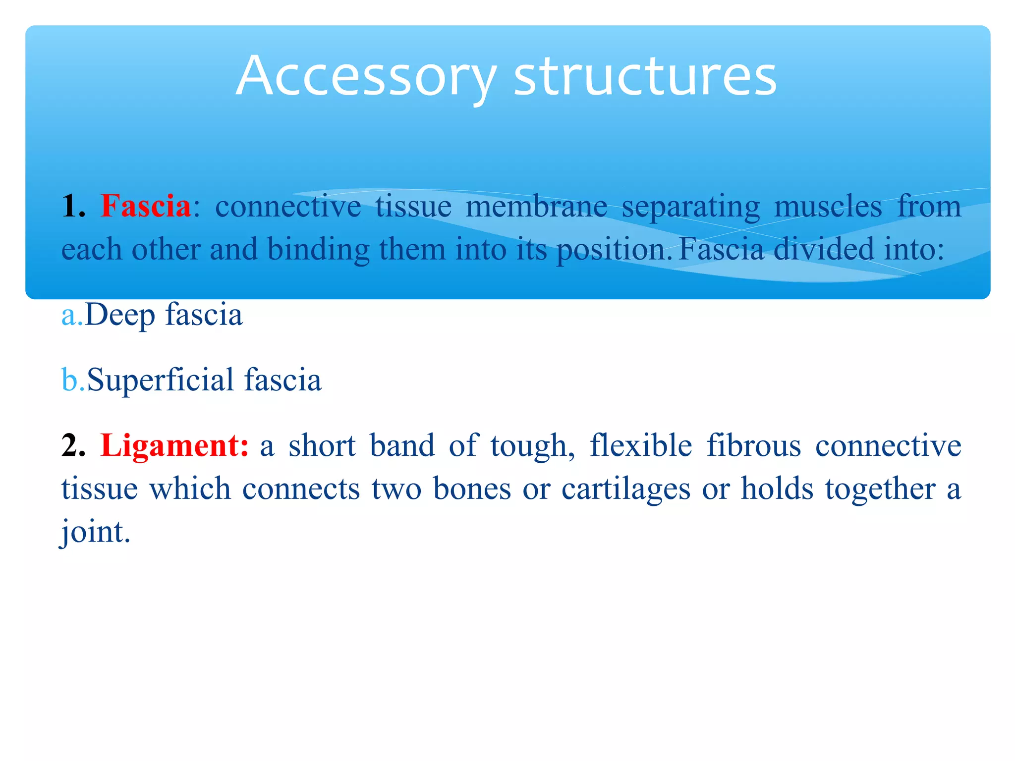 Myology ppt | PPT