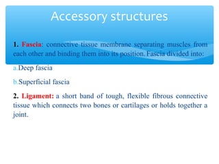 Myology ppt | PPT