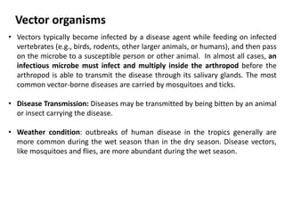 Characteristic features of a vector organism | PPT