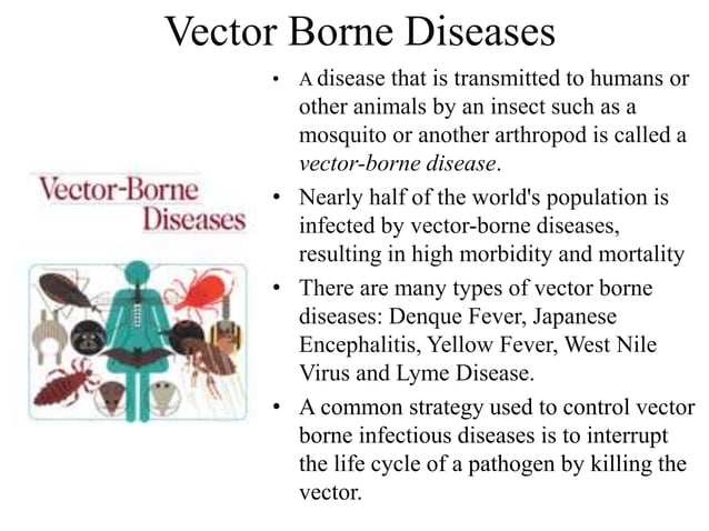 Characteristic features of a vector organism | PPT | Infectious ...
