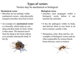 Characteristic features of a vector organism | PPT