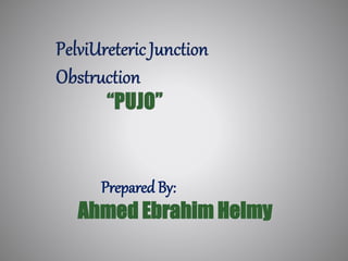 Pujo | PPTX