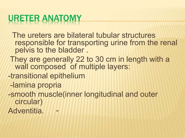 Puj obstruction | PPTX