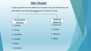 Corporate Division Plan, Business Unit Plan, Assigning Resource to SBU ...
