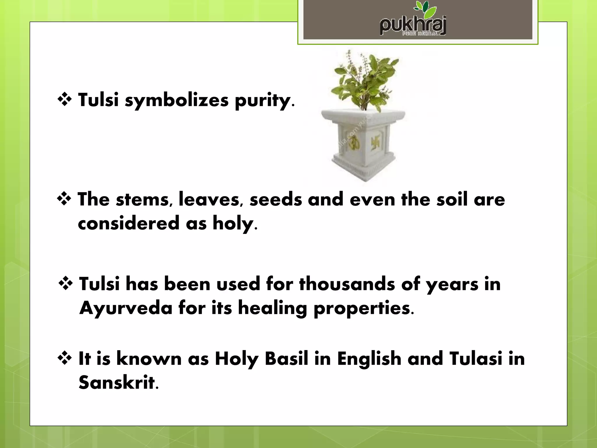 Pukhraj 5 Tulsi ppt-by Dipankar Dey | PDF