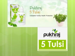 Pukhraj 5 Tulsi ppt-by Dipankar Dey | PDF