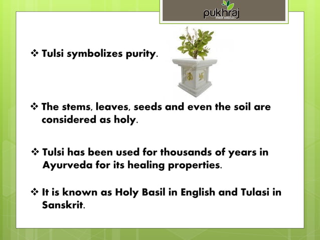 Pukhraj 5 Tulsi ppt-by Dipankar Dey | PPT