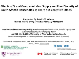Economics, Policy and Value Chains: Effects of Social Grants on Labor ...