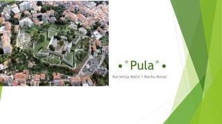 Pula | PPTX