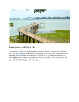 Pulau Ubin.pdf