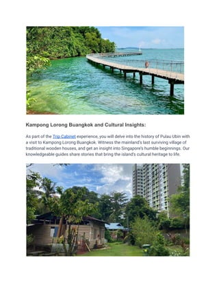 Pulau Ubin.pdf