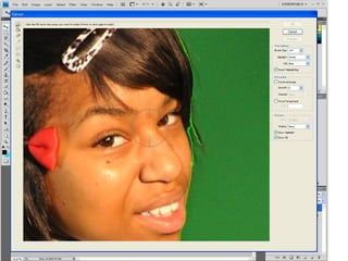 Puli | PPT | Free Download