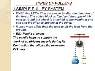 Pulleys and springs | PPT