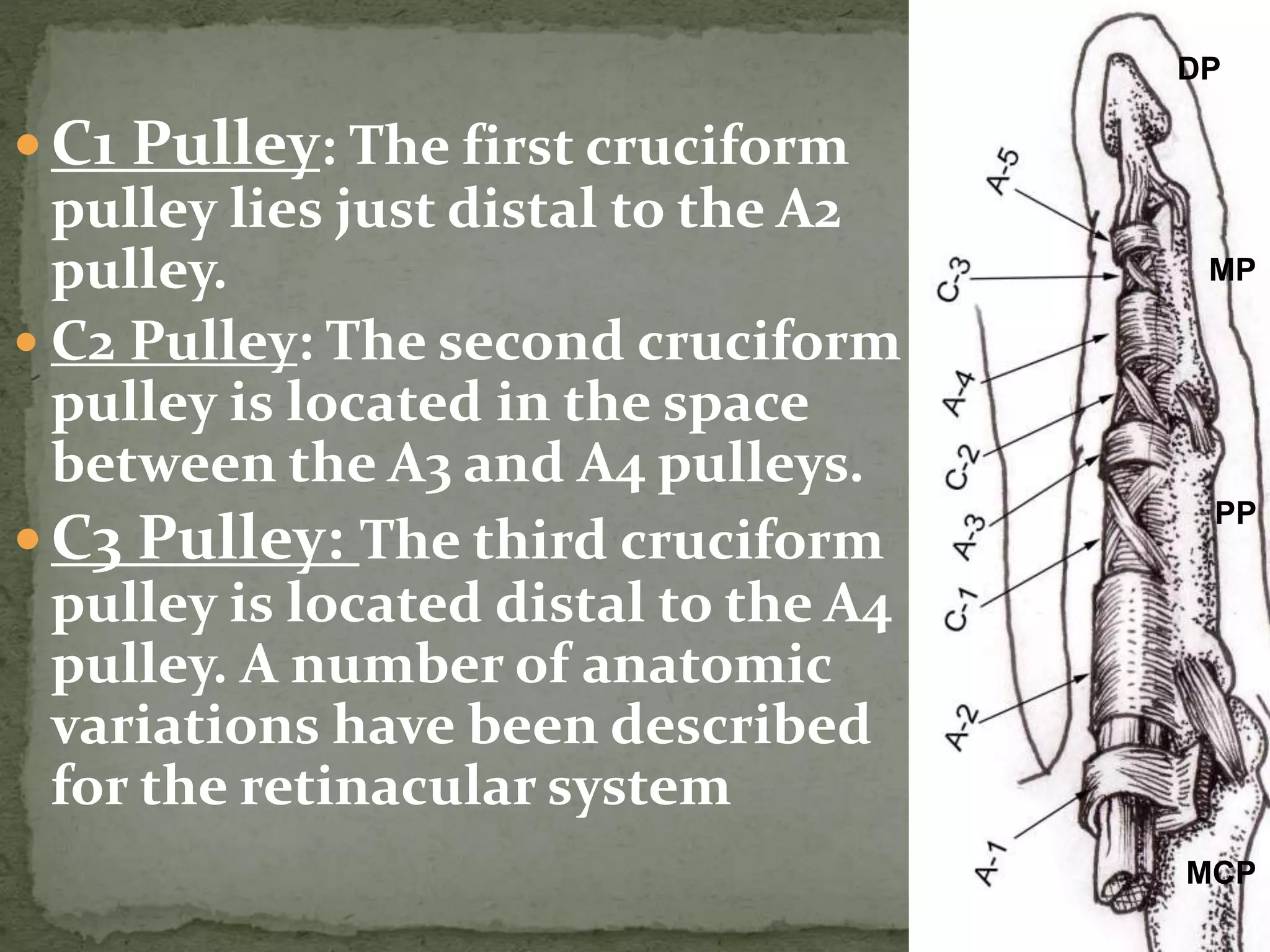 PULLEYS OF HAND. PPT..pptx