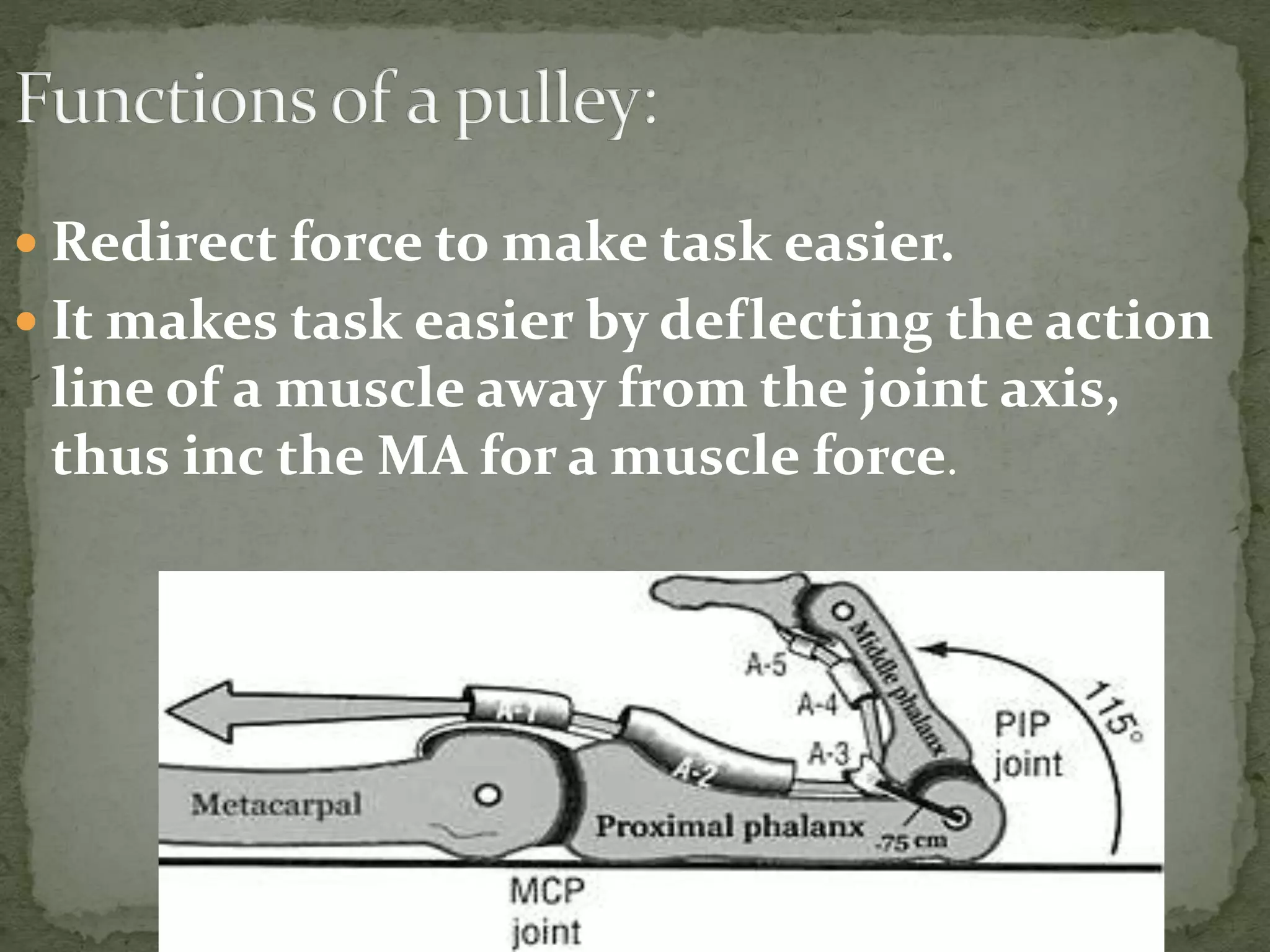PULLEYS OF HAND. PPT..pptx